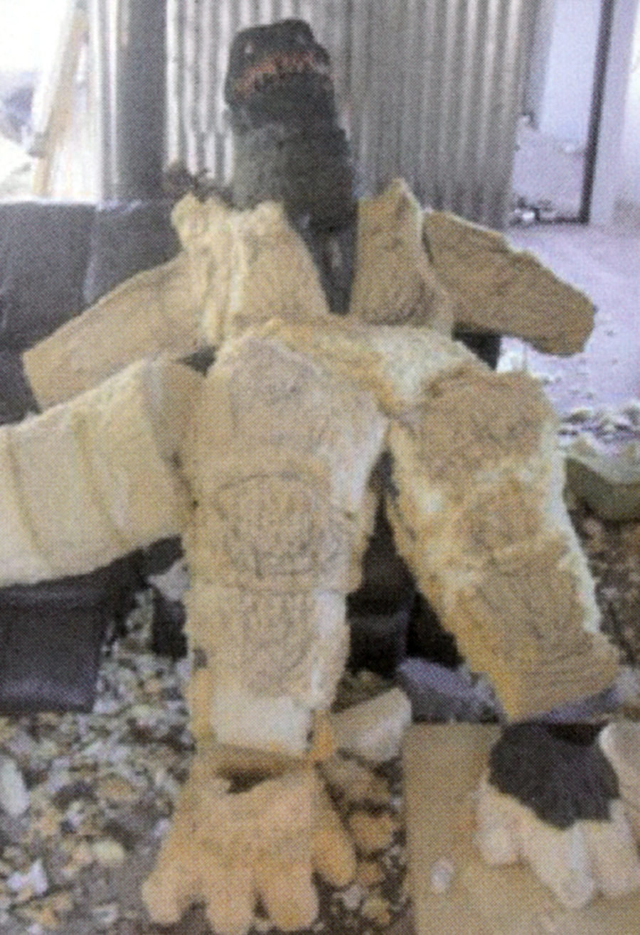 Texturing the Body – Becoming Godzilla